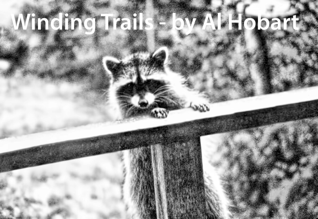 Winding Trails by Al Hobart – Emily Cabin – Davis’s - Upper Rogue ...