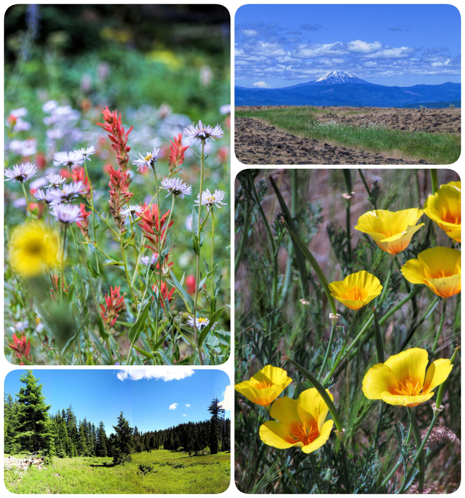 All Things Oregon - Spring Hikes - Upper Rogue Independent